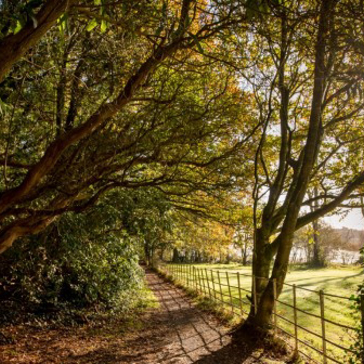 On in Cavan | Virginia Park Lodge