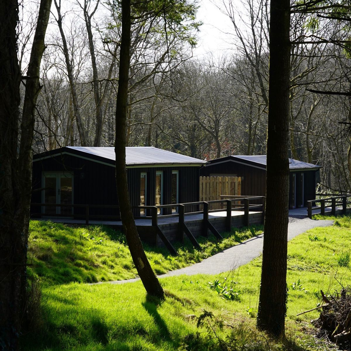 Log Cabins In Cavan | Accommodation | Virginia Park Lodge